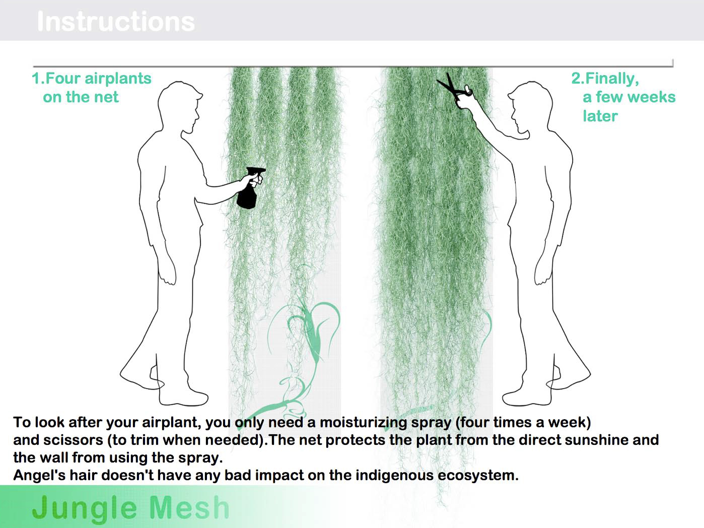 Jungle Mesh – Alexia Steunou Jobin